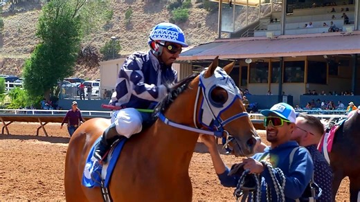 In this All American Derby (G1) video bio, Tom Dawson profiles sixth-fastest qualifier Hovland. You can view profiles of all the qualifiers for the $1,077,461 race on Labor Day at https://aqha.com/all-american. | Q-Racing