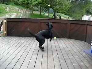 Dreams do come true! | Pushing the little buttons on a soft drink cup lid