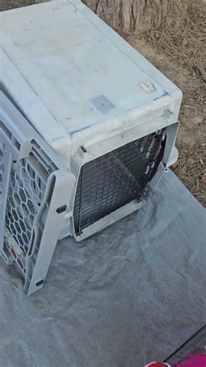 Getting ready for tomorrow, Sunday, in Spring Valley