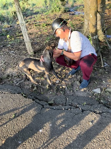 2026 acompáñame a bendecir