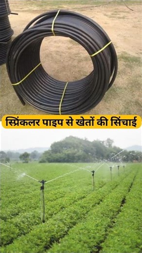 😱स्प्रिंकलर वाली पाइप से खेतों की सिंचाई कैसे करें❓