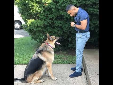 🎮 LIVE NOW! 2K26 Rec Gameplay – 6'1 BEST ALL-AROUND PG Build 🏀 Dominating the Court!