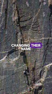 Rock Types 🎵 #sedimentary metamorphic #igneous #geology #rocktypes