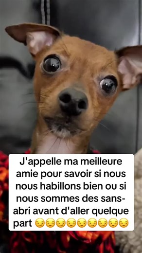 Vidéos de Splitz (@splitzzz__) avec son original - Splitz