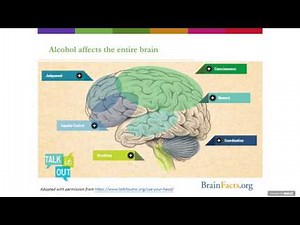 Alcohol and the Teenage Brain