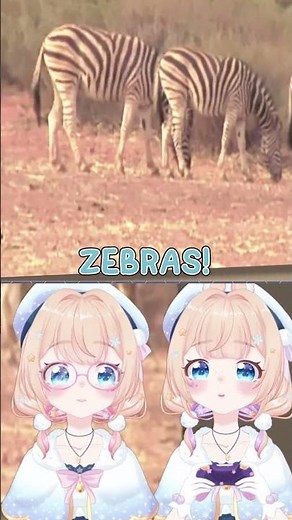 INSYNC COLLECTION ☆1