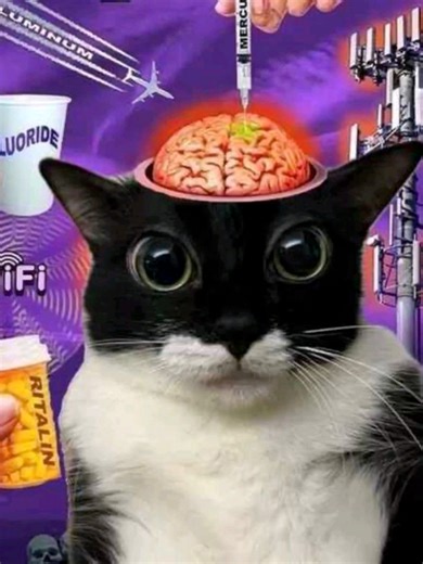 domer #youvshomer #simpsons #aycaramba #domer