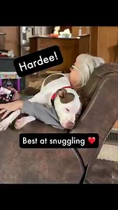 4K views · 348 reactions | Check out the Best of the Cleveland APL...