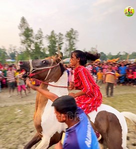 4.6M views · 85K reactions | এখন কি করবে তাসমিনার ঘোড়া ? What will Tasmina's horse do now? সিরাজগঞ্জের মাটিতে তাসমিনার নতুন ইতিহাস || মনে হচ্ছে বাঘে-সিংহে টক্কর। The new history of Tasmina on the soil of Sirajganj It looks like a tiger-lion clash. | কৃষাণ টিভি | Facebook