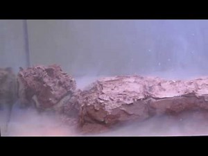 Descomposición cuerpo