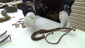 3K views · 41 reactions | The Museum of Canterbury is celebrating 150 years by bringing some of its oldest and most prized treasures out of the vaults, including moa bones that have been in the museum's possession since it opened. Our reporter Hania Douglas paid the museum and its taonga a visit today. | Te Karere | Facebook