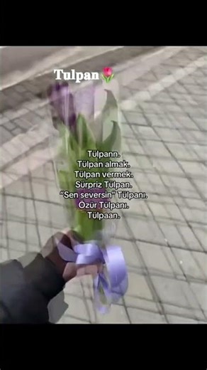 🌷 #keşfet #keşfetbeniöneçıkar