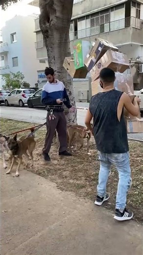 Falling Box Prank WENT WRONG | Viral Funny Video