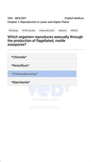12th Biology Reproduction in Lower and Higher Plants MCQ