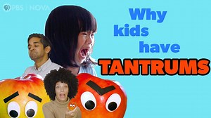 Watch as Parentalogic hosts, Dr. Alok Patel and Bethany Van Delft, break down the science of a breakdown. | NOVA Education