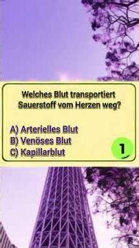 Dieses Quiz wird dich verwirren 😵‍💫🤔 #schwierigesquiz #wirwissenwaswirtun #trivia