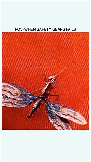 WarMind™ on Instagram: "Evolution (2001) Type: Movie Genre: Sci-Fi, Comedy Runtime: 101 minutes Rating: ⭐ 6.1/10 Overview: A meteor crashes in the Arizona desert—and instead of killing everything, it jump-starts evolution at warp speed. As single-cell organisms rapidly become full-blown alien threats, a mismatched team of scientists and a wannabe firefighter race to stop an extinction-level problem with brains, bravado, and very unscientific solutions. Why It’s Loved: • Goofy, quotable humor tha