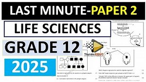 2025 Ncs Life Sciences P 2 Grade 12 June Exams Thundereduc Grade 12 Life Science Paper 2 June Ex Thundereduc Mp3 & Mp4 Download - clip.africa.com