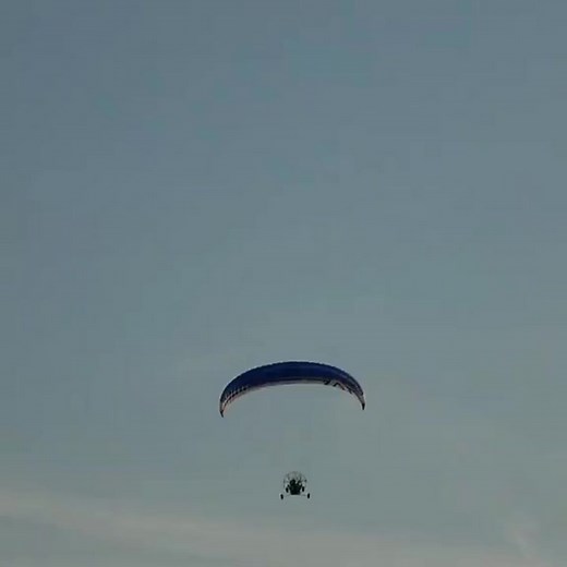 #design #3dprint #experiment #aerodynamics #cannon #dog #dopplereffect | Adam Arias