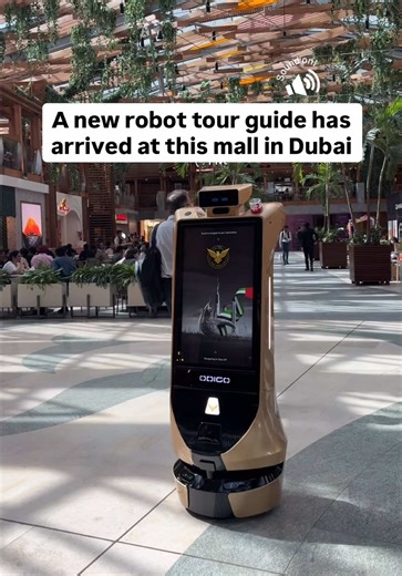 Navigate Dubai Malls Easily with New Robot Guide
