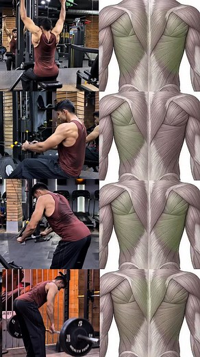 Back Workout 1️⃣ Lat Pulldowns / Pull-up 2️⃣ Seated Cable Rows (bilateral/unilateral) 3️⃣ Cable Pullovers 4️⃣ Barbell Rows ✅ DM “TRAIN” for 1-on-1 online coaching. 💾 Save this for your next back day 🤝 Follow for more workout tips! #fyp #foryou #explorepage #gym #gymmotivation #workout #workoutmotivation #bodybuilding #explore #physique #motivation #transform #gymtips #biceps #gymworkout #back #muscle #fitness #fitnessmotivation #backworkout #armsworkout #lats #ﬁtness | Ankit Punia