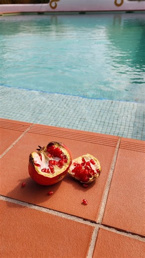 Morgan Silva on Instagram: "Best fruit to eat poolside? show me in emoji! for me... 🍉 pascina at @montedaslages was like NOTHING else. Book them for your next trip, you won't forget it 🥰 @louieinportugal #portugal #exploreportugal #summerinportugal #portugal🇵🇹 #travelportugal"