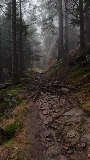 @natssumi999 on Instagram