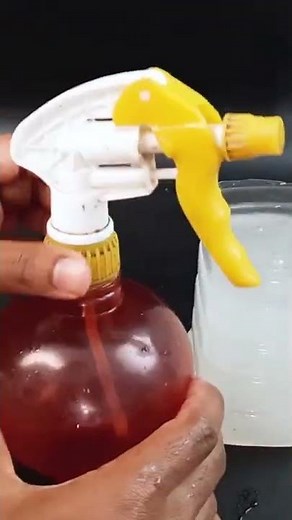 Powerful Homemade Tooting hormone|Natural Rooting Stimulants for Gardening#Shorts