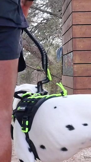 Special Offer: 25% off our new and improved dog harness and walk kit! (Limited time offer) The Flytech 1 Performance Kit comes with a harness that can attach multiple items, a leash with a seatbelt, a wastebag dispensing pouch, and a water bowl, with an included durable drawstring bag! #puppytok #dogaccessories #doggear #dogtok #dogmom #sideeye #dogsoftiktok #dogleash #dogbowl #dogharness #dogcare #dogtraining