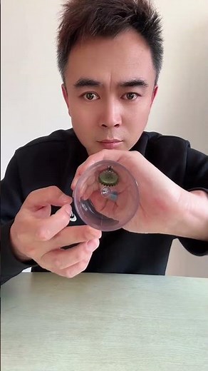 Uncle's trick is amazing to show off his skills at the dinner table. Magic teaching