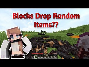 Minecraft But Blocks Drop Random Items😱 | BIDUSHI PLAYS