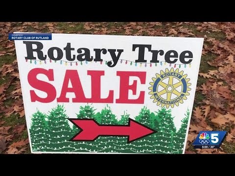 Rutland Gift a Tree Program returns to provide low-income families with free Christmas Trees