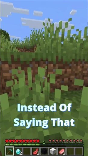 Whenever I Make A Bad Minecraft Take