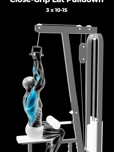 Sesión de Entrenamiento de Pull Perfecta para Espalda y Bíceps