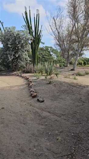 Visit this fresh nature garden with $2 per hour parking and free admission during the week & $5 on weekends. Clean restrooms, benches throughout your walk to sit, relax and appreciate the beauty and sounds nature has to offer.