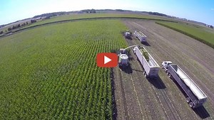 Mike Less-- Next Generations Dairy Farm near Berne Indiana.Chopping Corn Silage Custom Harvester J-Mar Farms out of Piqua Ohio with their two Claas Jaguar 960