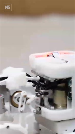 5.2K views · 23 reactions | Robotic rat uses AI to befriend real...