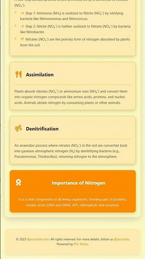 Nitrogen Cycle and Nitrogen Fixation