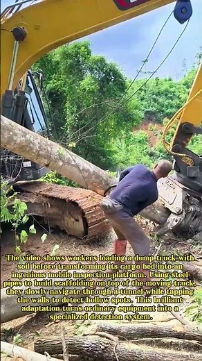 Timber Teamwork: How a Claw Machine and Chainsaws Revolutionize Logging