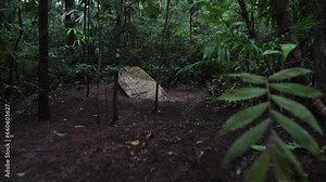 Huge half-buried stone in the rainforests in Tikal National Park in northern Guatemala