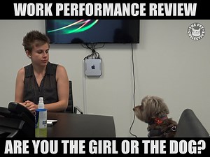 104K views · 1.2K reactions | If dogs gave work performance reviews: | The Pet Collective | Facebook