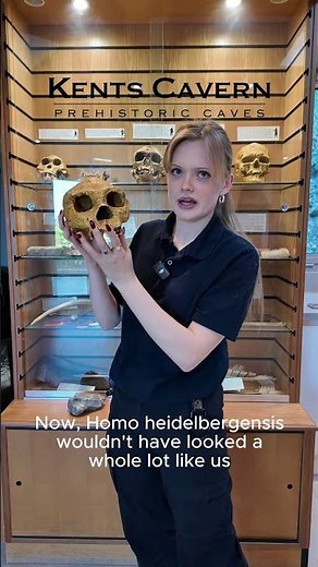 The Three Species of Humans at Kents Cavern | Part 2