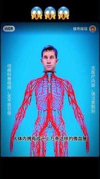 "The Power of Human Technology! Bionic Arm & the Mind-Blowing Secret of the Human Body 🔥 #sciencean