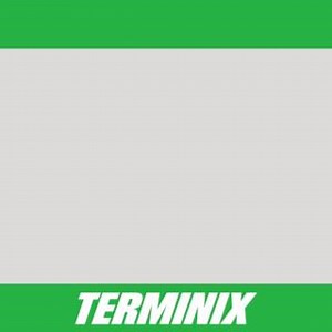 3.6K views · 20 comments | Think you can spot a termite infestation? Think again! Here are some of the hidden signs of termite damage you might be missing. Check out the full list >> https://ow.ly/3ct750SFGHn | Terminix | Facebook