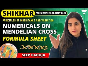 Numericals on Mendelian Cross | Formula Sheet | L4 | Principles of Inheritance and Variations