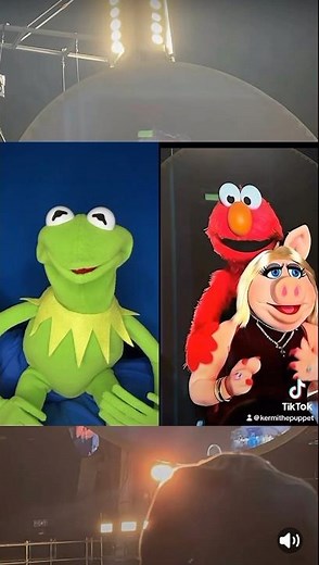Coldplay Kiss Cam With Kermit The Frog And Elmo