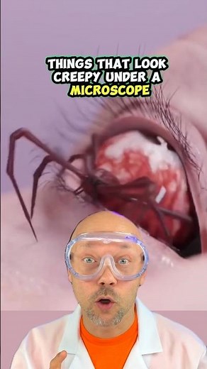 Things that look creepy under a microscope 😱
