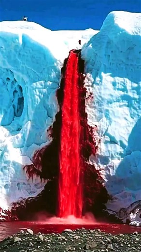 4.6K views · 22K reactions | Antarctica has a blood-red waterfall that doesn’t freeze. The Blood Falls in Taylor Glacier gets its eerie color from iron-rich water oxidizing when exposed to air, just like rust. This deep underground brine has been trapped for 1.5 million years. | Unsolved Mysteries & Paranormal Activities | Facebook