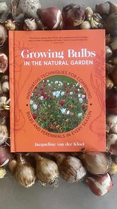 GROWING BULBS IN THE NATURAL GARDEN by Jacqueline van der Kloet is now available! This exquisitely photographed guide offers advice on bulb varieties, planting methods, and handy tools for gardeners working in spaces large and small. Plus, it provides inspiration and insights gleaned from van der Kloet’s illustrious career, using nature as a model. Get it now and be inspired by nature’s design! | Timber Press
