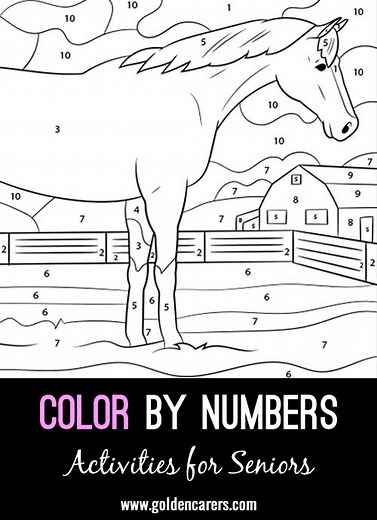 Color By Numbers - Horse